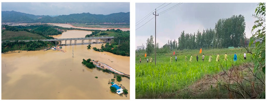 Automatic Identification of Earth Rock Embankment Piping Hazards in ...