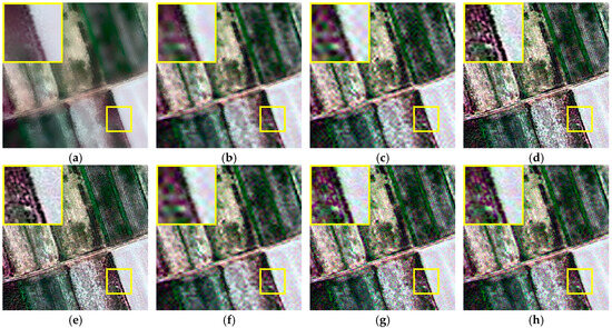 FSSBP: Fast Spatial–Spectral Back Projection Based on Pan-Sharpening Iterative Optimization