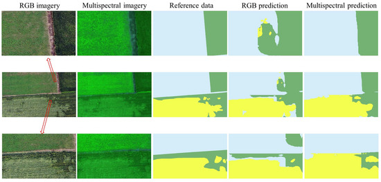 Remote Sensing | Free Full-Text | Efficient Wheat Lodging Detection Using UAV Remote Sensing ...