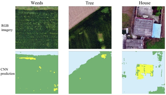 Remote Sensing | Free Full-Text | Efficient Wheat Lodging Detection Using UAV Remote Sensing ...