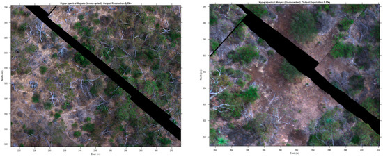 Automated Georectification, Mosaicking and 3D Point Cloud Generation ...