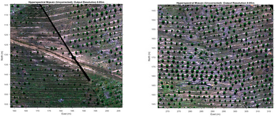 Automated Georectification, Mosaicking and 3D Point Cloud Generation ...