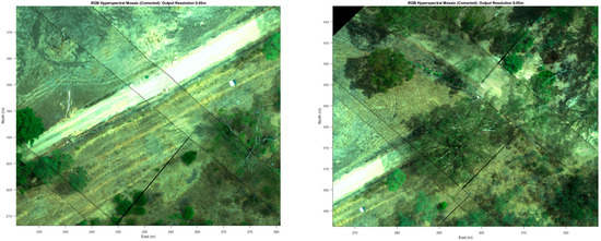 Automated Georectification, Mosaicking and 3D Point Cloud Generation ...
