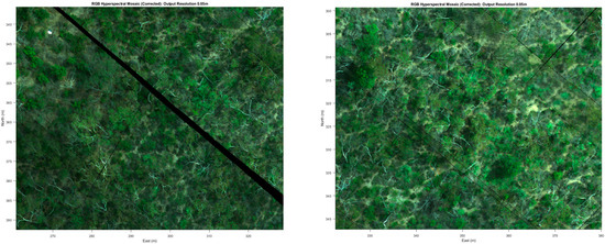 Automated Georectification, Mosaicking and 3D Point Cloud Generation ...