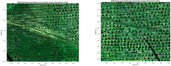 Automated Georectification, Mosaicking and 3D Point Cloud Generation ...