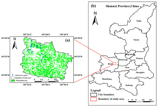 Regional-Scale Monitoring of Wheat Stripe Rust Using Remote Sensing and Geographical Detectors