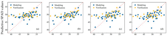 UAV Hyperspectral Data Combined with Machine Learning for Winter Wheat Canopy SPAD Values Estimation