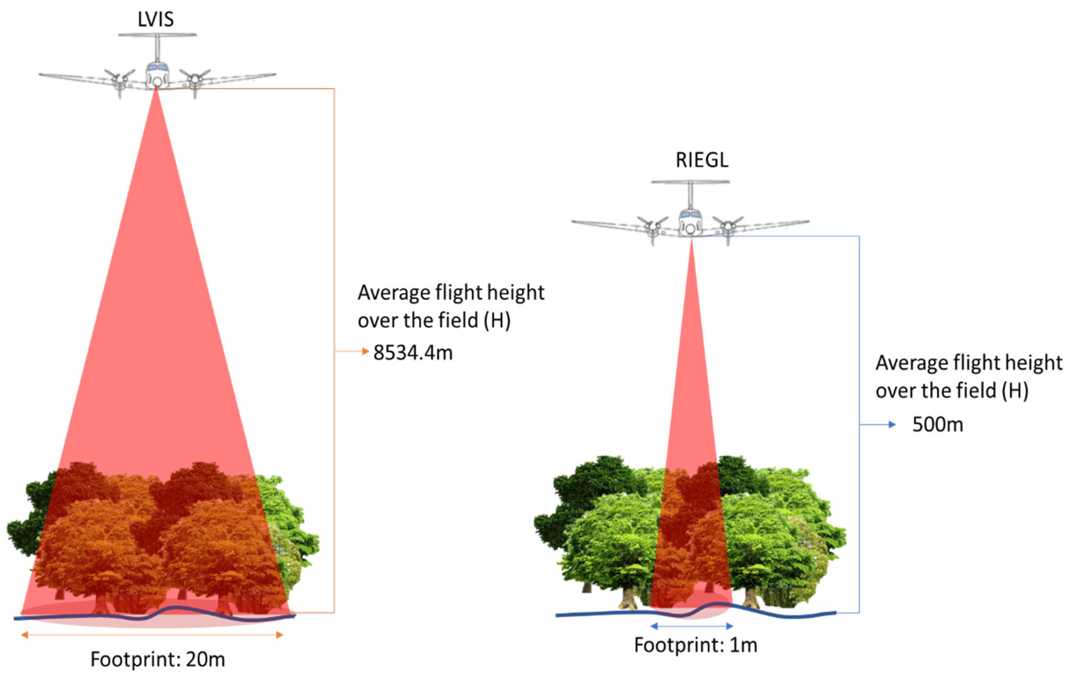 Studying Tropical Dry Forests Secondary Succession (2005–2021) Using ...