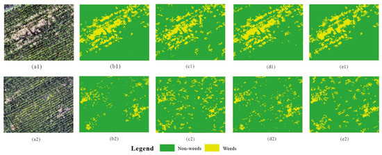 Remote Sensing | Free Full-Text | A Combination of OBIA and Random Forest Based on Visible UAV ...
