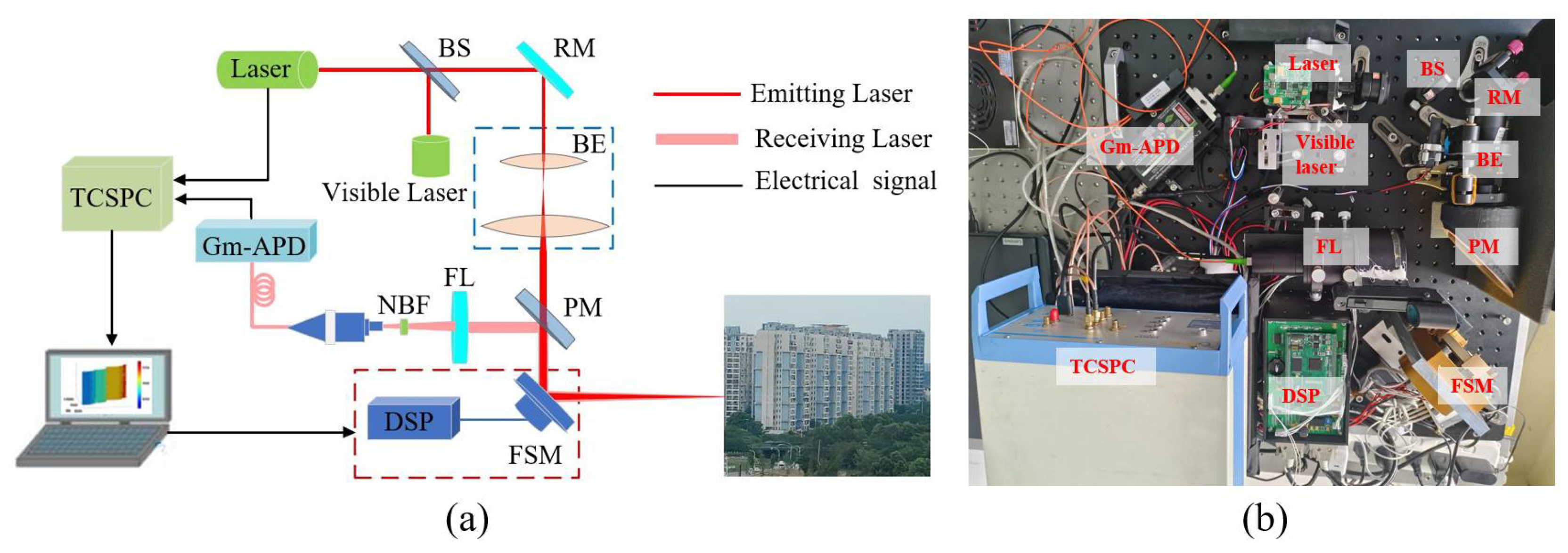 Bayesian Model for 3D Undulating Terrain Depth Estimation Using Photon Counting LiDAR