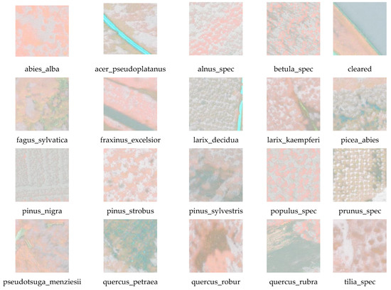 Remote Sensing Free Full Text A Multi Scale Convolution And Multi Layer Fusion Network For