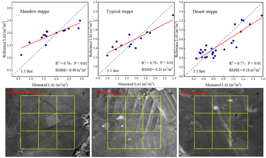 Remote Sensing | Free Full-Text | Comparative Verification of Leaf Area Index Products for ...