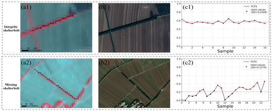 Age Identification of Farmland Shelterbelt Using Growth Pattern Based ...