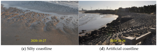 A Transformer Model for Coastline Prediction in Weitou Bay, China