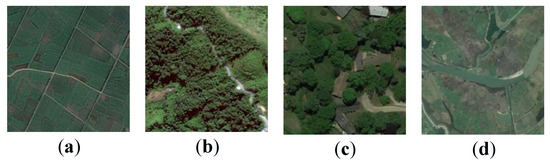 Multi-Feature Dynamic Fusion Cross-Domain Scene Classification Model Based on Lie Group Space