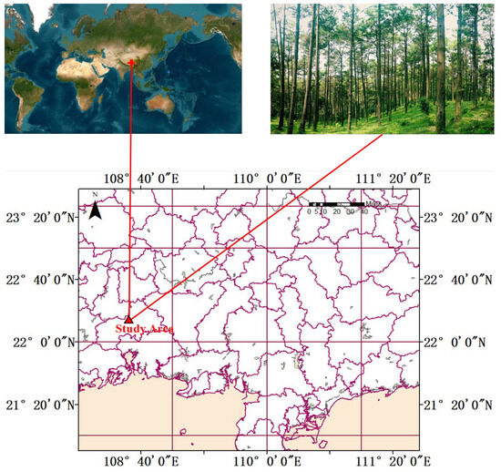 Forest-PointNet: A Deep Learning Model for Vertical Structure ...