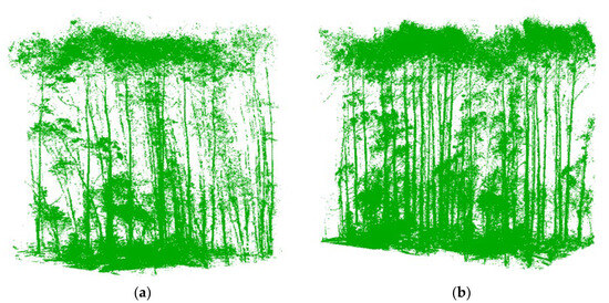 Forest-PointNet: A Deep Learning Model for Vertical Structure ...