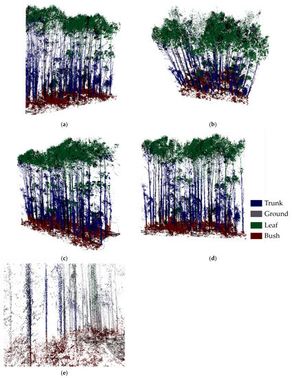 Forest-PointNet: A Deep Learning Model for Vertical Structure ...