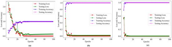 Remote Sensing | Free Full-Text | Hybrid Convolutional Network Combining Multiscale 3D Depthwise ...