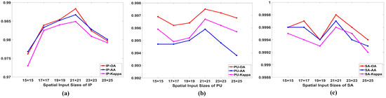 Remote Sensing | Free Full-Text | Hybrid Convolutional Network ...
