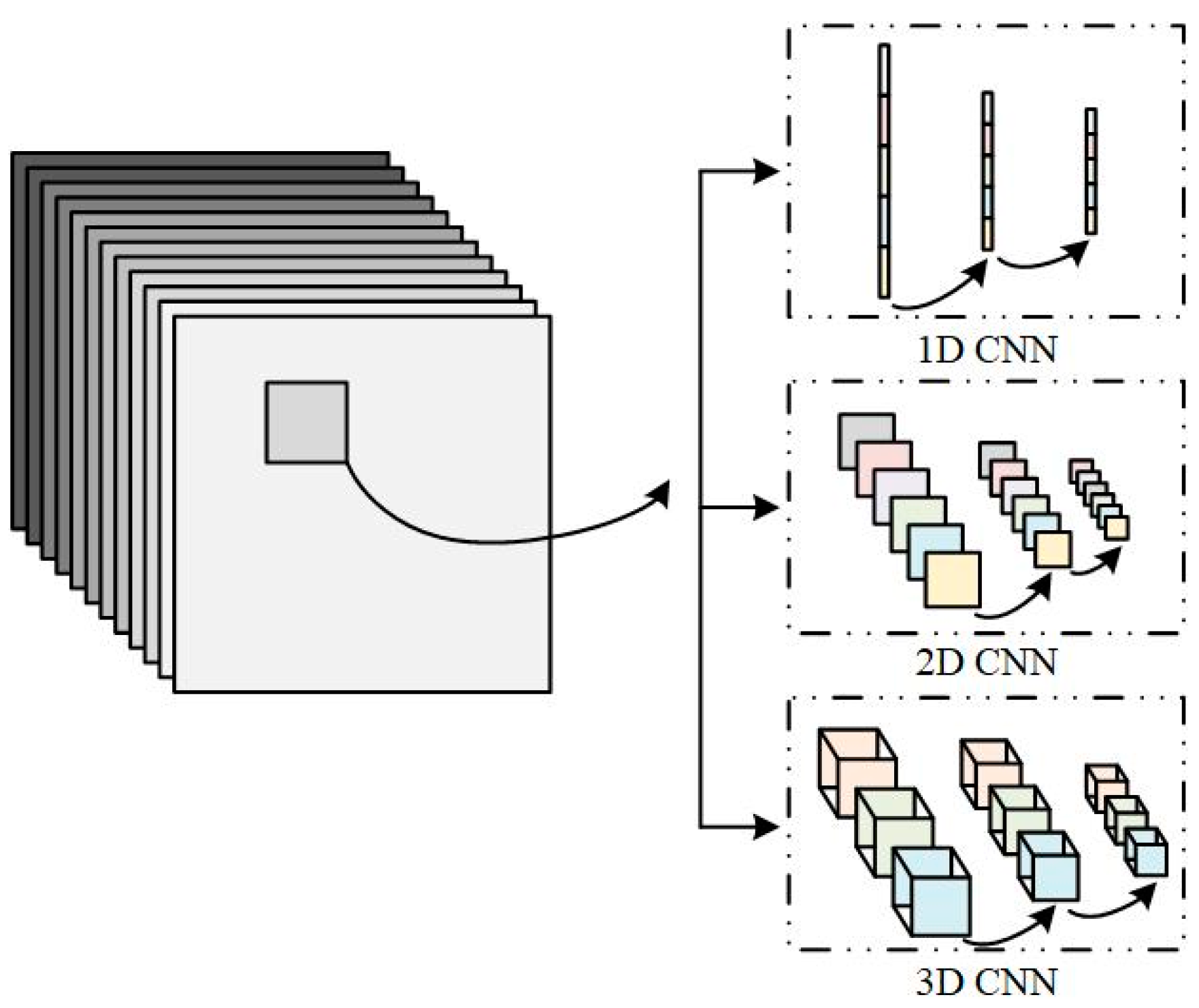 Integrated 1d 2d And 3d Cnns Enable Robust And Efficient Land Cover Classification From