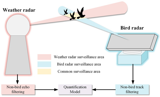 Quantification of Migration Birds Based on Polarimetric Weather Radar
