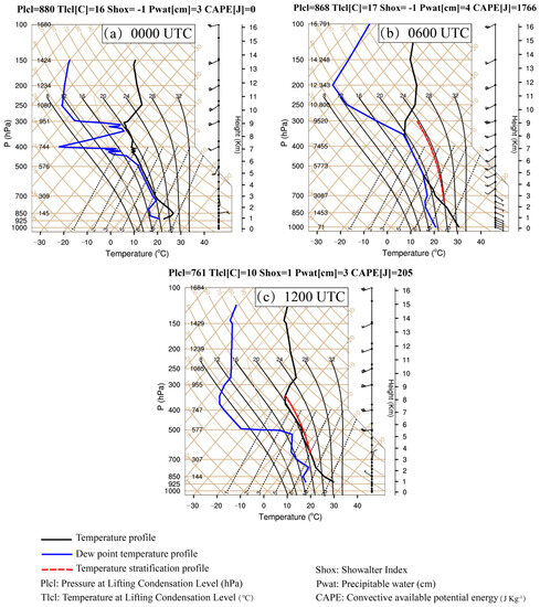 Remote Sensing | Free Full-Text | A Case Study on the Convection ...