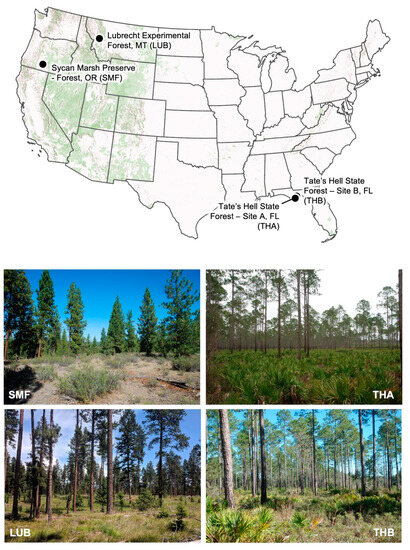Remote Sensing | Free Full-Text | Evaluating Close-Range Photogrammetry ...