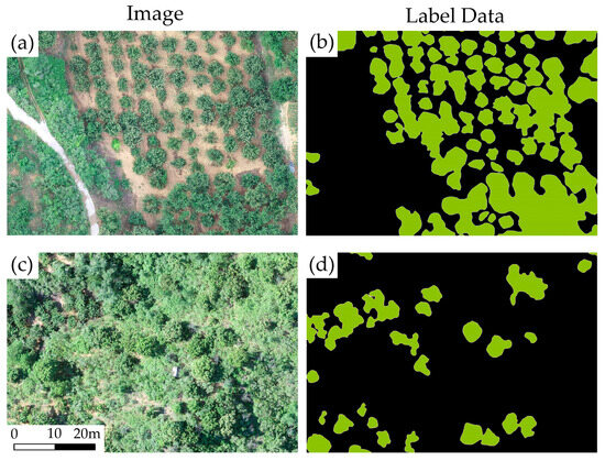 Detection And Mapping Of Chestnut Using Deep Learning From High Resolution Uav Based Rgb Imagery