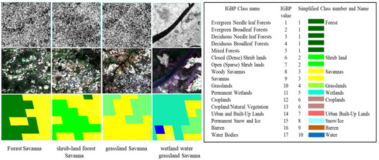 Multi-Label Remote Sensing Image Land Cover Classification Based on a ...