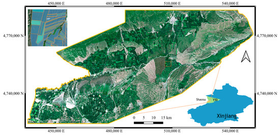 Contrastive Learning Based Time Series Feature Representation For Parcel Based Crop Mapping