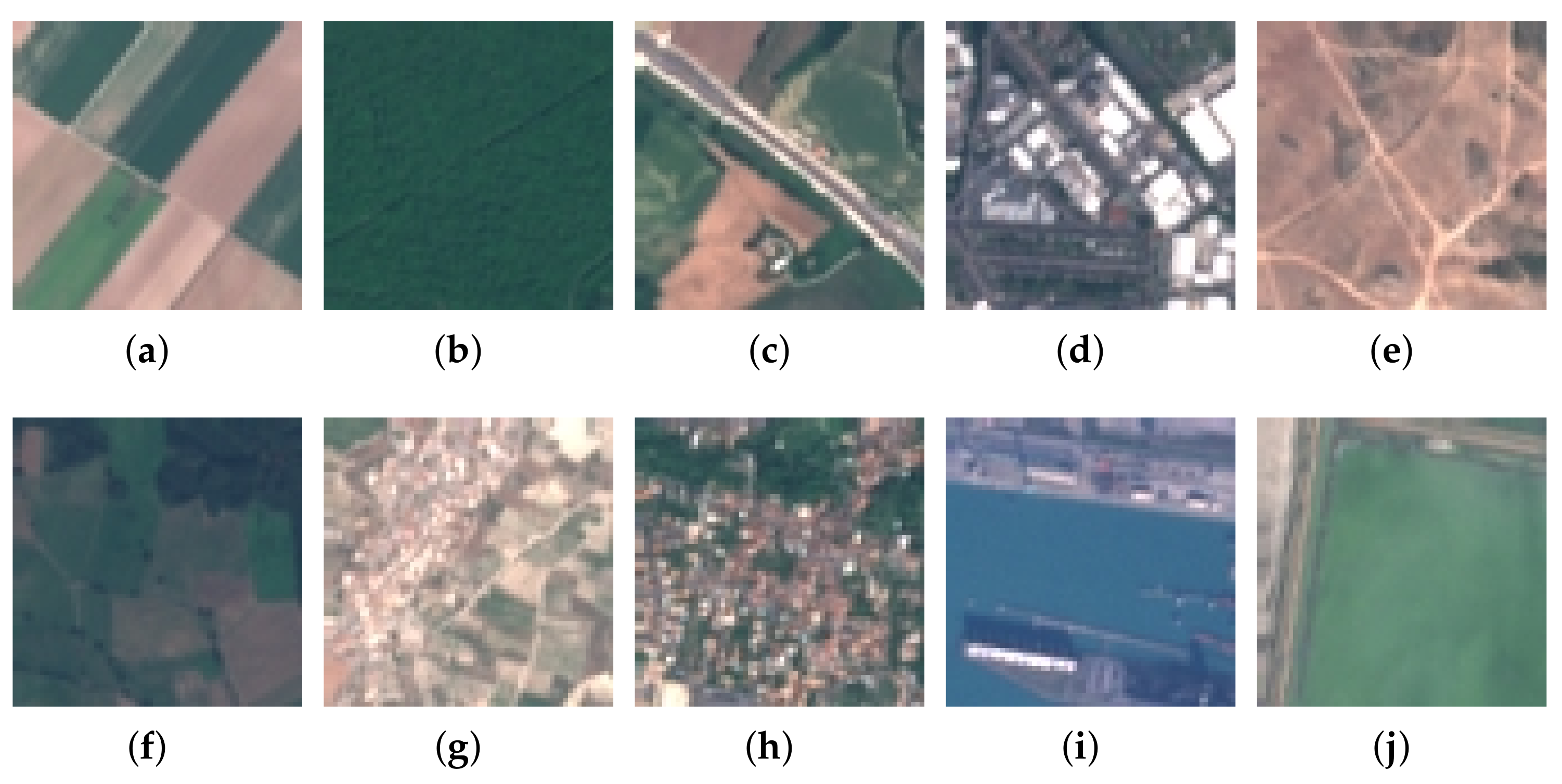 Local Differential Privacy Based Membership-Privacy-Preserving ...