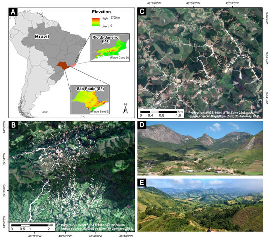 Remote Sensing | Free Full-Text | Rainfall-Induced Shallow Landslide ...