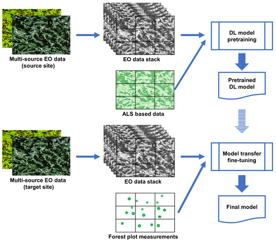 Remote Sensing Free Full Text Deep Learning Model Transfer In Forest Mapping Using Multi
