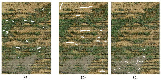 Transformer in UAV Image-Based Weed Mapping