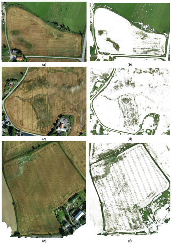 Transformer in UAV Image-Based Weed Mapping