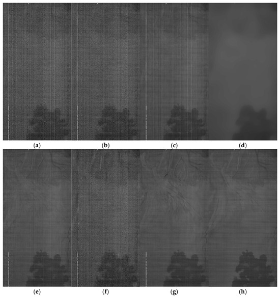 A Neural Network for Hyperspectral Image Denoising by Combining Spatial–Spectral Information