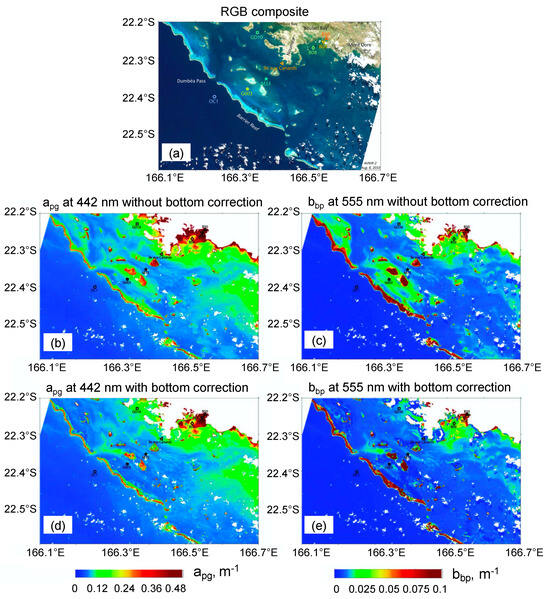 A Review of Ocean Color Algorithms to Detect Trichodesmium Oceanic ...