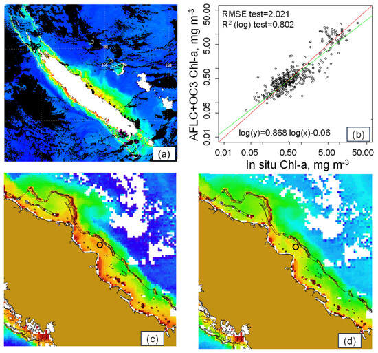 A Review of Ocean Color Algorithms to Detect Trichodesmium Oceanic ...