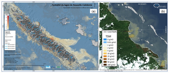 A Review of Ocean Color Algorithms to Detect Trichodesmium Oceanic ...
