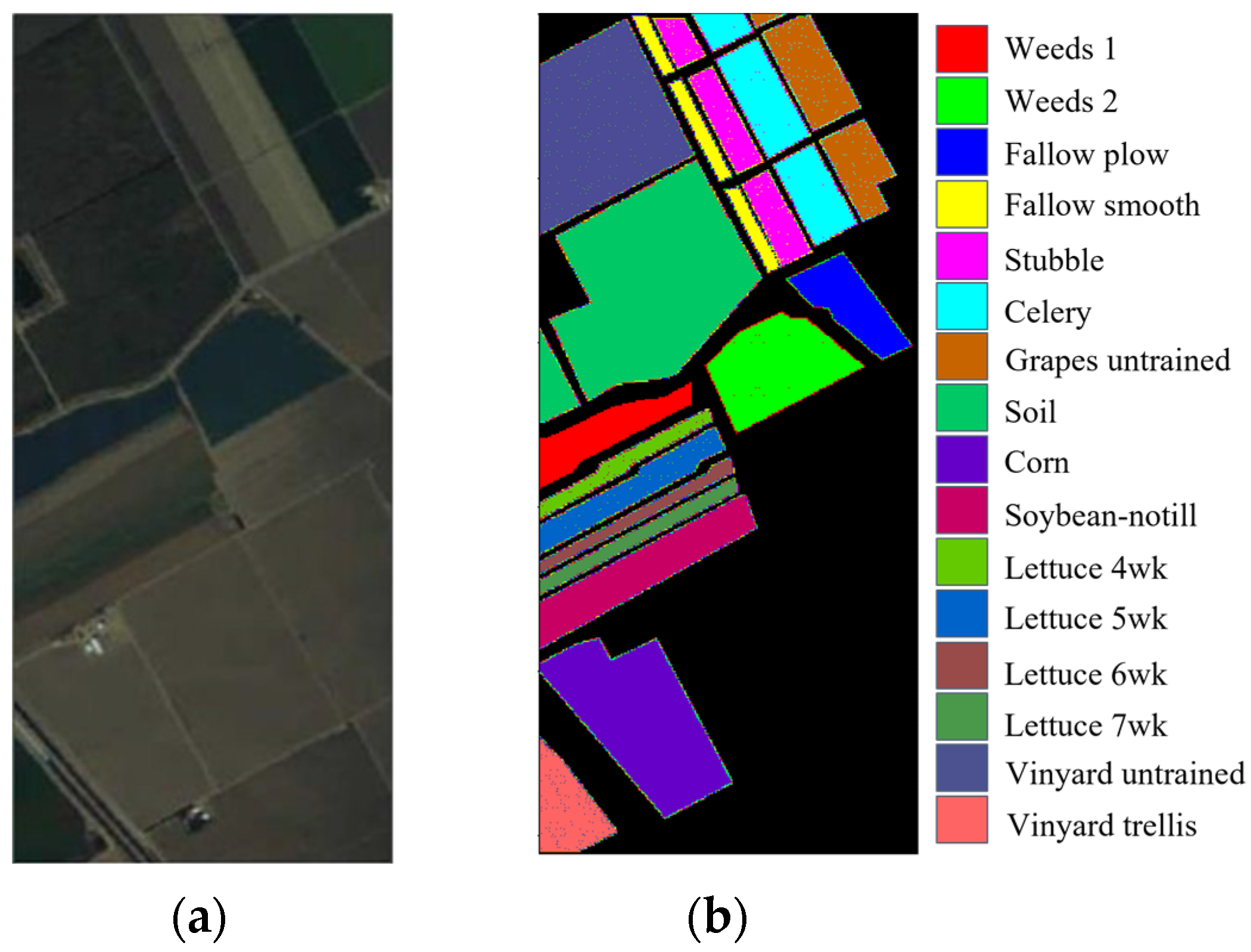 Remote Sensing | Free Full-Text | MADANet: A Lightweight Hyperspectral Image Classification ...