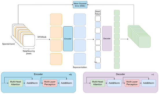 A Generic Self-Supervised Learning (SSL) Framework for Representation ...