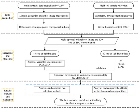 Remote Sensing | Free Full-Text | Estimation of Soil Salt Content at Different Depths Using UAV ...