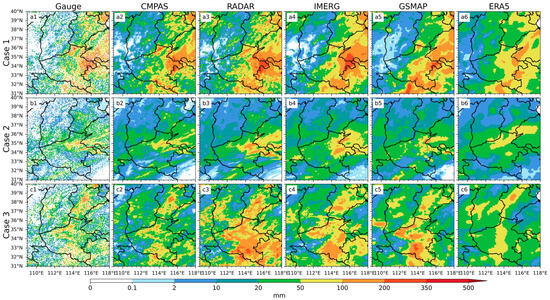 A Comprehensive Assessment of Multiple High-Resolution Precipitation ...