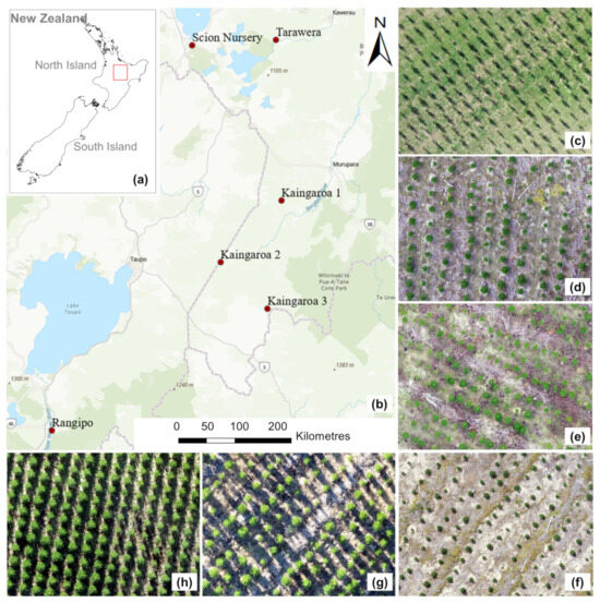 Remote Sensing | Free Full-Text | Unsupervised Methodology for Large ...