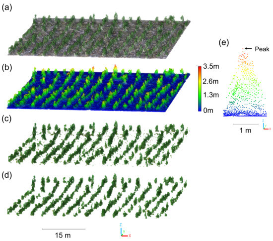 Remote Sensing Free Full Text Unsupervised Methodology For Large Scale Tree Seedling Mapping
