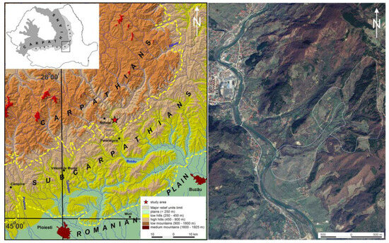 Deciphering Complex Morphology and Structural Connectivity of High ...