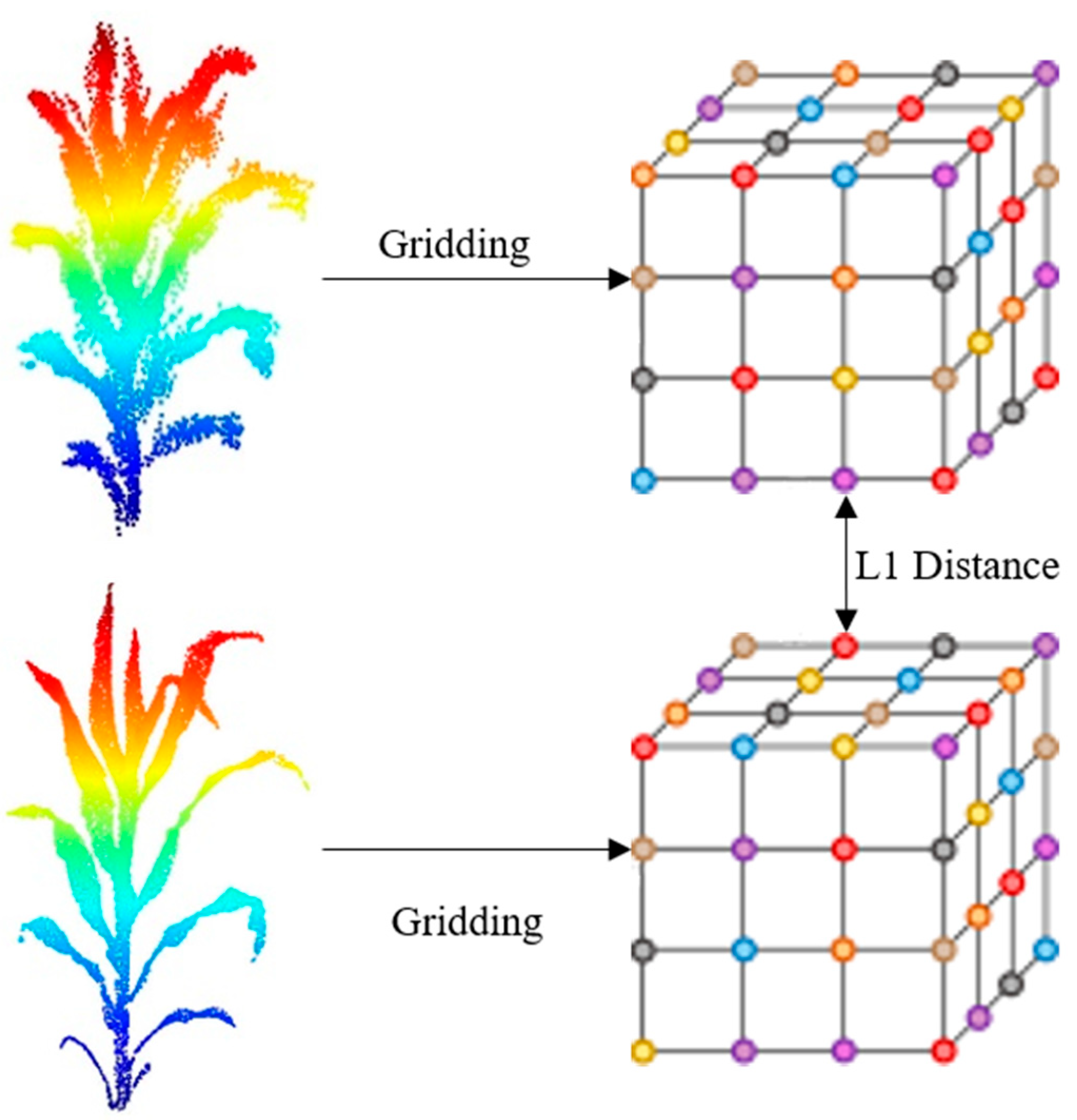 Remote Sensing | Free Full-Text | Completing 3D Point Clouds of Thin ...