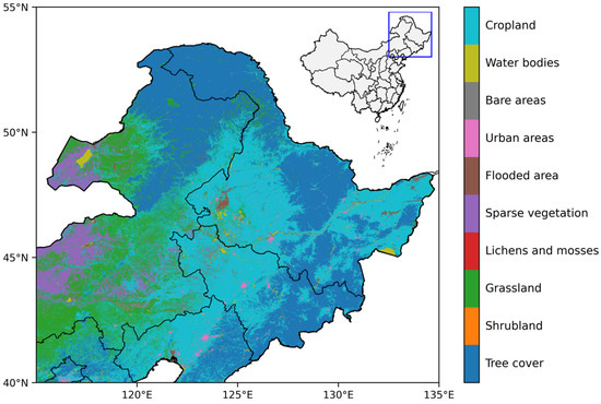 Dynamics of Spring Snow Cover Variability over Northeast China