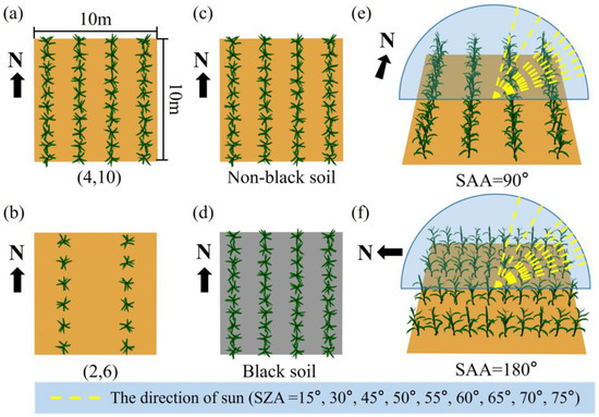 Evaluation of the SAIL Radiative Transfer Model for Simulating Canopy ...